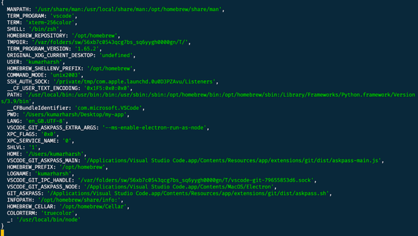 Exploring the Controversy: The Pros and Cons of Environment Variables - PyCon Italia